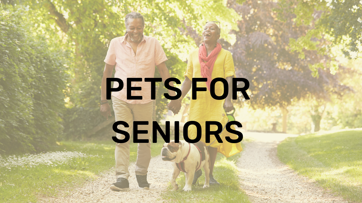 Pets for Seniors - Creative Home Therapy